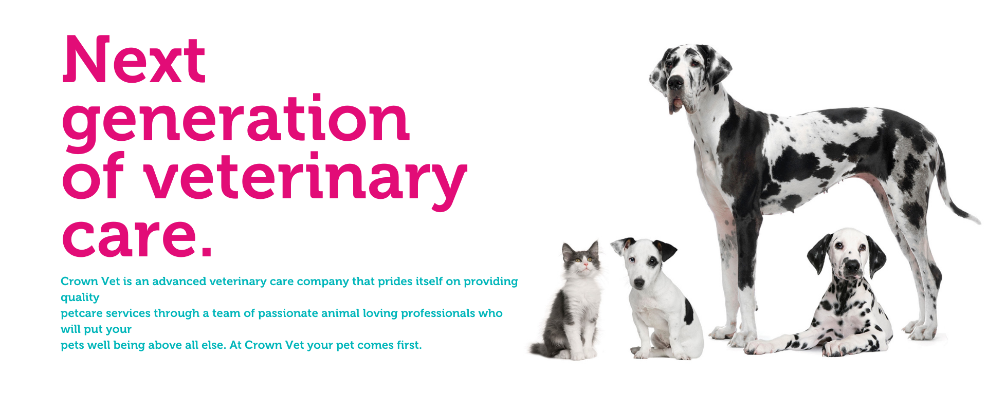 Top-Rated Multi-Location Vet Clinic | Crown Vet: Caring for Pets Across ...